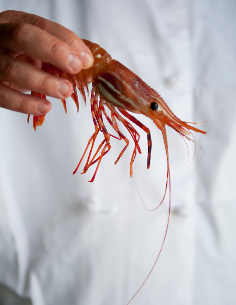 How to Cook and Eat Spot Prawns - Nomss.com