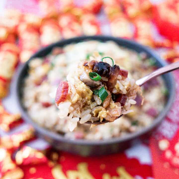 Chinese Sticky Rice 糯米飯 (Easy Rice Cooker Method) - Nomss.com