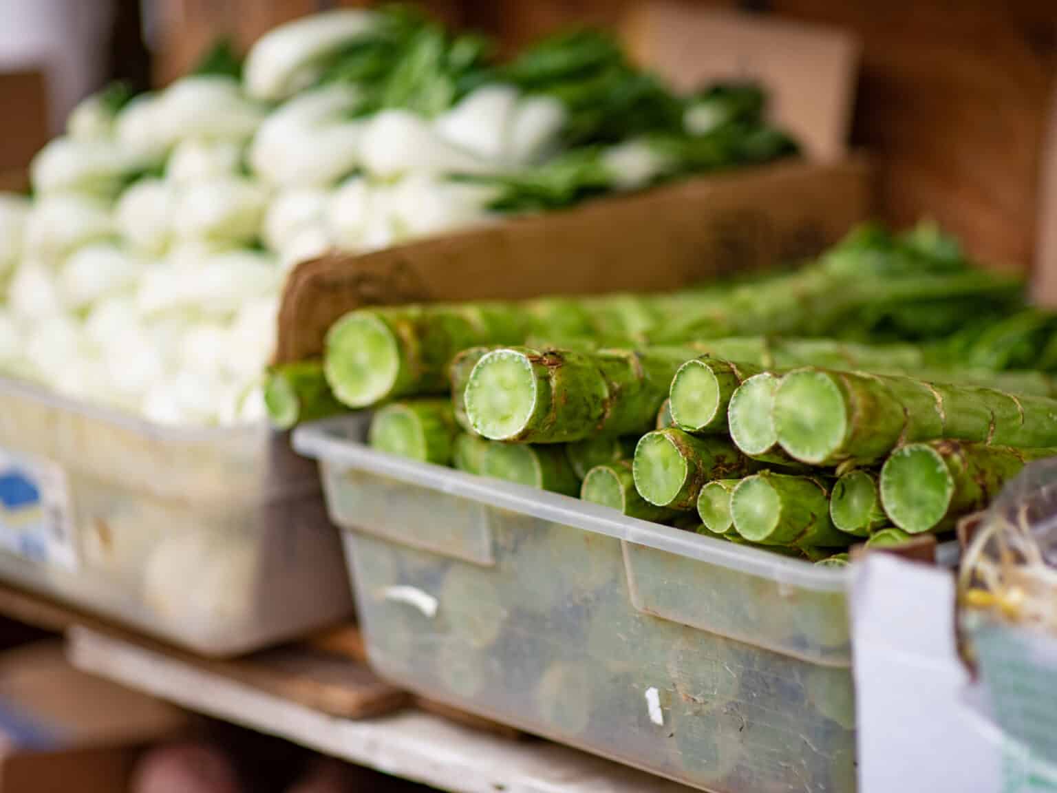 Best Chinese Spicy Celtuce Stem Salad Recipe 酸辣涼拌萵筍 - Nomss.com
